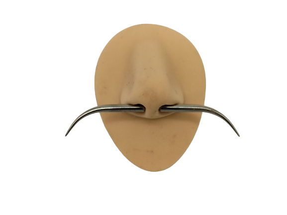Septum Long Curved Spike – Global Collection